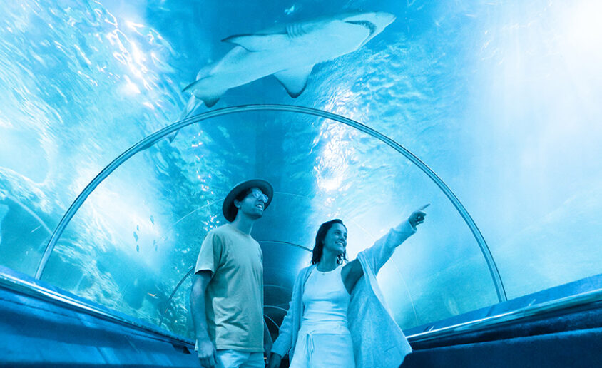 New Big Red Group report shows experience bookings are booming as ...